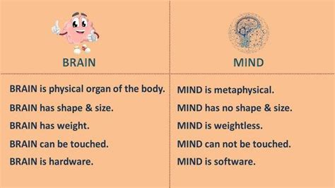 What Is The Difference Between Brain And Mind Jenny Ala