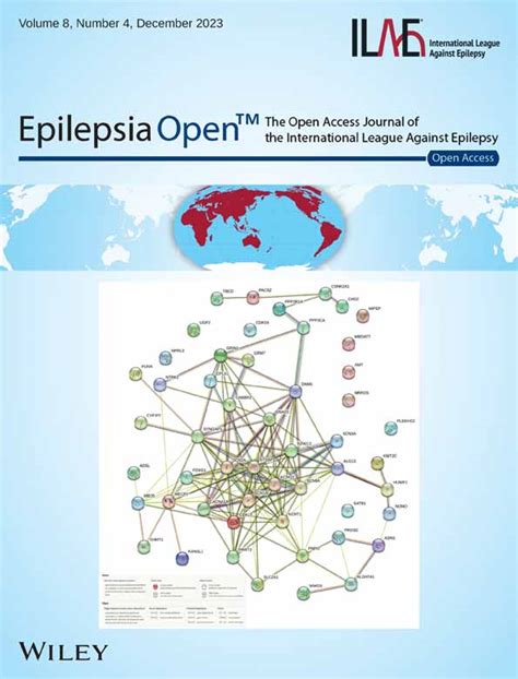 Epilepsy Classification Using Artificial Intelligence A Web‐based