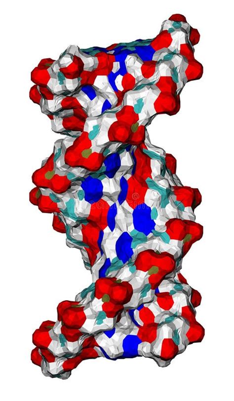 Thrombin Structure Stock Illustration Illustration Of Anticoagulant 24879714