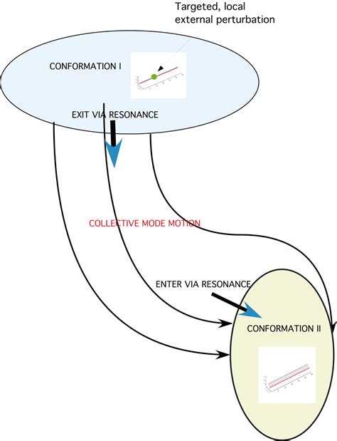 On The Dynamics Of Molecular Conformation Pnas