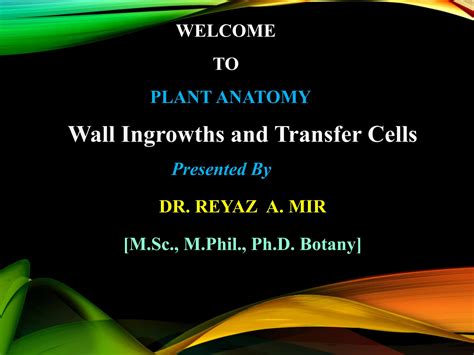 Ingrowth And Transfer Cellpdf This Ppt Represents The Wall Ingrowth