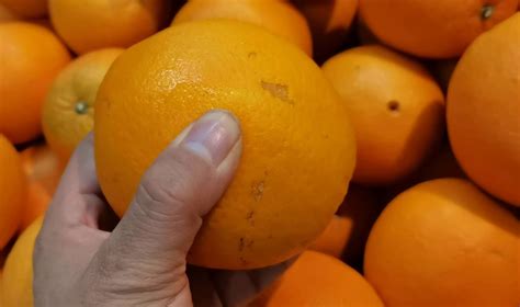 Large Vs Small Navel Oranges — Which Is Better For People Over 50