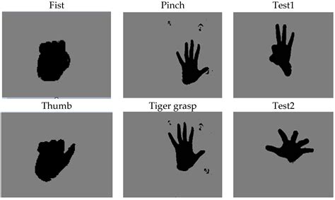 Hand Pose Recognition Using Parallel Multi Stream Cnn