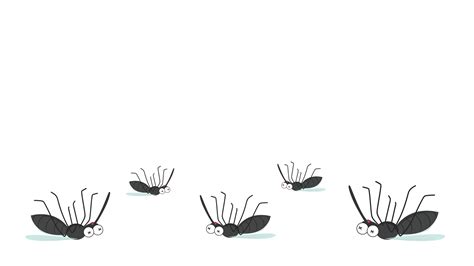 Mosquito Vector Dead Mosquitoes Wallpaper Free Space For Text Copy