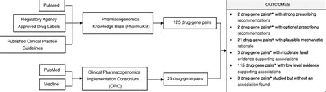 Search Method For Opioid Drug Gene Pairs Assigned By CPIC Download Scientific Diagram