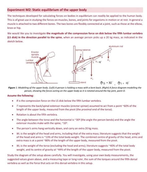 Solved Experiment M2 Static Equilibrium Of The Upper Body