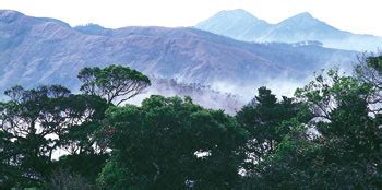 Munnar Visit Munnar Munnar Travel Munnar Tour Munnar Tourism