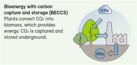Nexus E The Role Of Bio Energy With Carbon Capture And Storage To