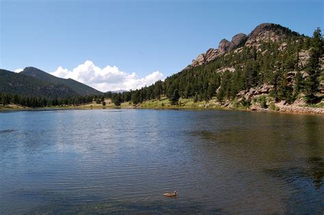 Pictures Of Alexandra Ross