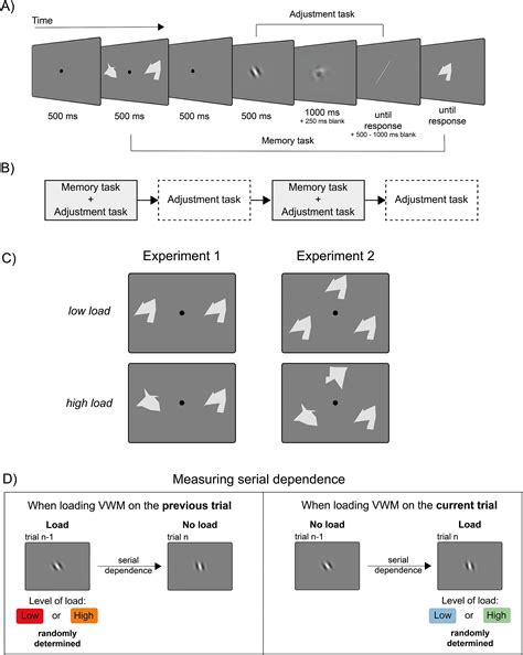 Serial Dependence A Matter Of Memory Load Heliyon