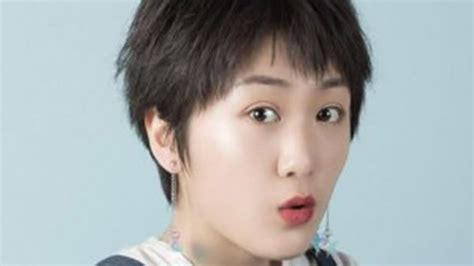 Jia Cheng Zhen Jia Cheng Zhen Iqiyi