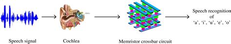 The Conceptual Signal Flow Of A Neuromorphic Speech Recognition System