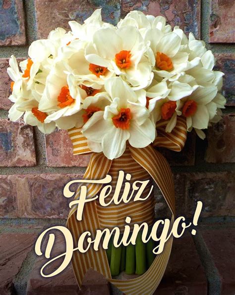 Tarjetas De Feliz Domingo Para Whatsapp Captions Energy