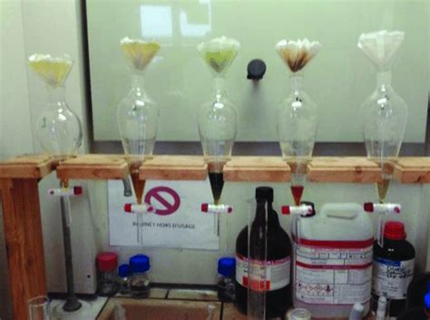 Lipid Extraction Process Download Scientific Diagram