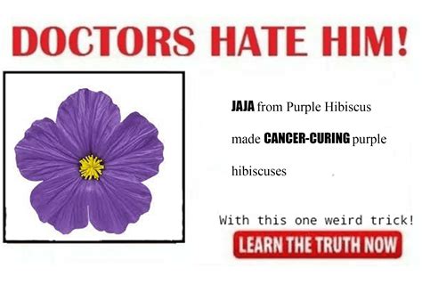 Doctors Hate Him Rpurplehibiscus