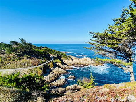 Usa West Coast Trettlertraveldesign