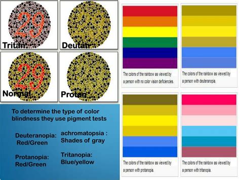 Ppt Color Blindness Powerpoint Presentation Free Download Id 2384536