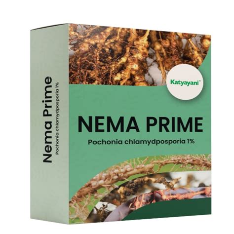 Buy Katyayani Nema Prime Pochonia Chlamydosporia 1 Bio Nematicide