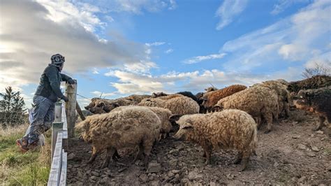 David Carruth Wins The Farm Woodland Young Peoples Award At Scotland The Future Forest Company
