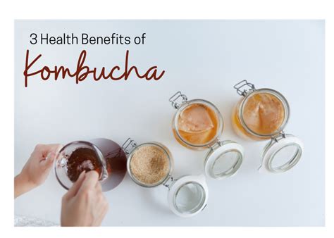 Health Effects Of Kombucha At Ella Hogarth Blog