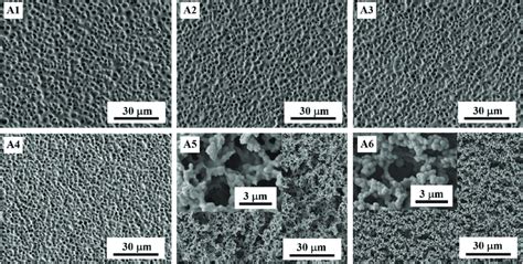 Colour Online Sem Micrographs Of The Polymer Framework Of Samples A1 A6 Download Scientific