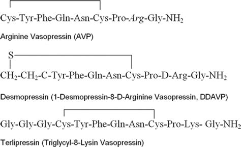 The Vasopressin System Anesthesiology American Society Of