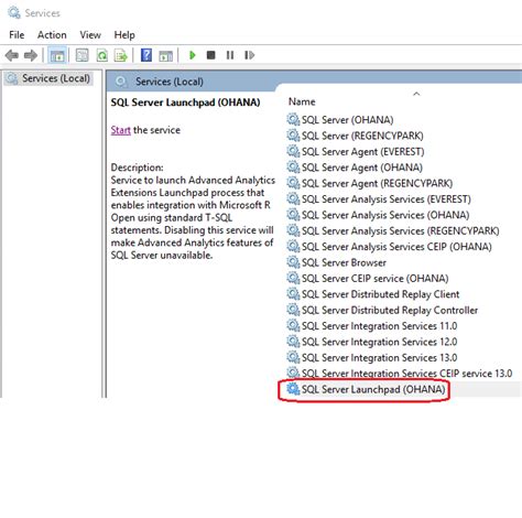 HodentekMSSS Querying A SQL Server Database In SSMS Using R