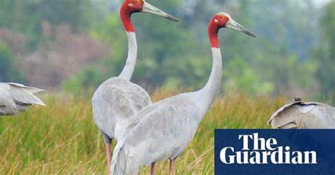 Ding Li Yong On Linkedin Great To See The Work Our Colleagues Are