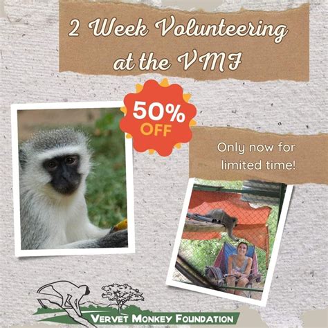 Vervet Monkey Foundation On Linkedin Vervetmonkeyfoundation