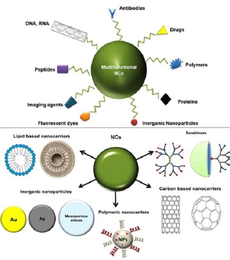 Ijms Free Full Text Surface Modified Multifunctional And Stimuli Responsive Nanoparticles