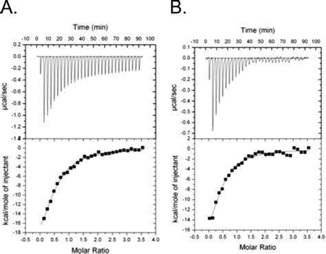 Itc Titrations Of 14 3 3 ␤ With Chrebp Peptide In Presence Of ␤ Hb Itc