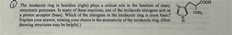 Solved The Imidazole Ring In Histidine Right ﻿plays A