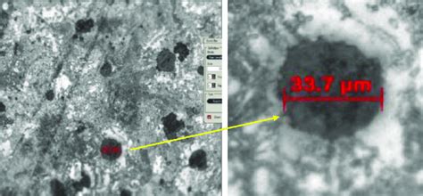 Photographs Of Microstructure Of Adi Download Scientific Diagram