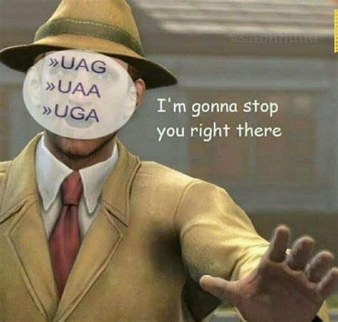 Best 13 Types Of Rna Polymeric Molecule Comparison Illustrated Outline