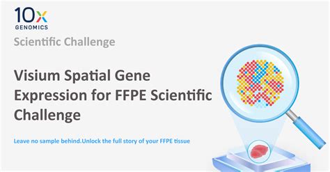 Visium Ffpe Scientific Challenge Bonsai Lab