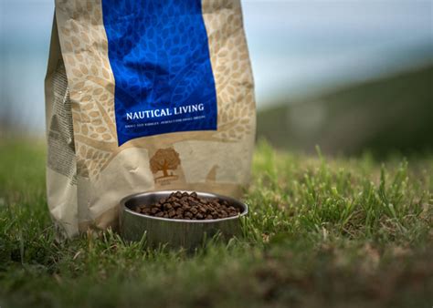 How Big Do Cockapoos Get Essentialfoodsie