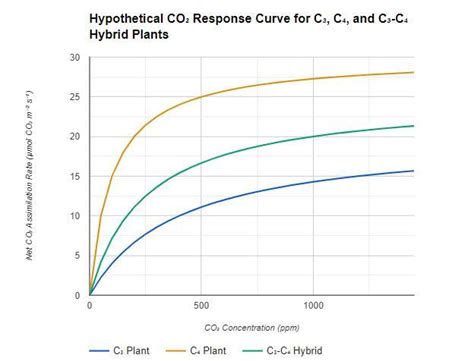 Draw A Single Graph Containing A Hypothetical Co₂ Response Curve For A C₃ Plant A C₄ Plant And