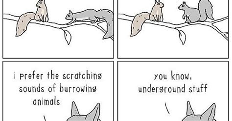 Hipster Squirrel Album On Imgur