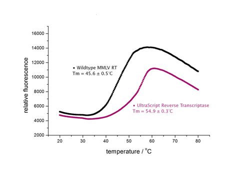 Ultrascript® Reverse Transcriptase And Cdna Kits Pcr Biosystems
