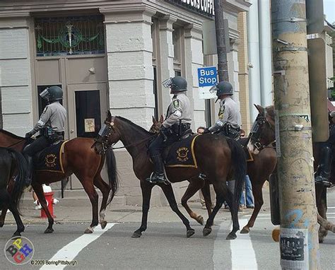 Detr Overview And Inference