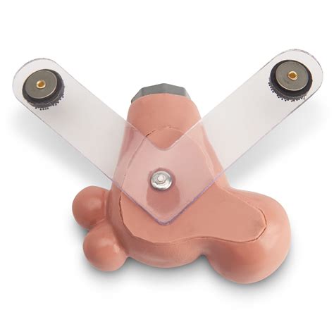 Abnormal Uterus Adam Rouilly