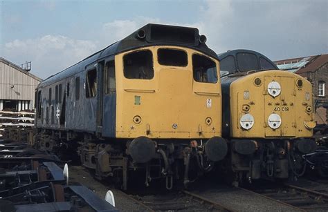 Photograph Courtesy Adrian Healey