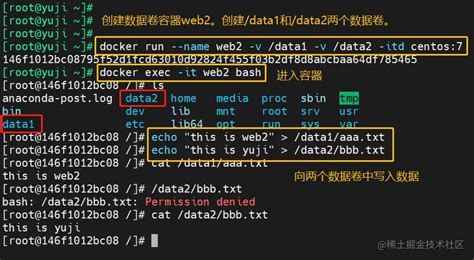 【云原生】docker的数据管理（数据卷、容器互联）