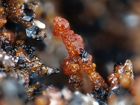Schäferit | mineralien