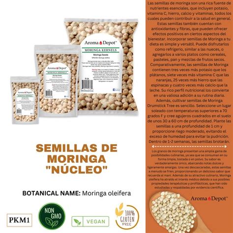 Moringa Kernels Seeds Oleifera Shelled Wholesale