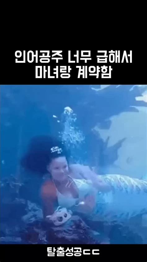 비행기가 이륙하는 모습 ️ 역시 빨랐구나ㄷㄷ 함께 보고 싶은 분들에게 공유해주세요🙆‍♀️ 비행기 이륙 달리기 유머짤 최신이슈 이슈 연예 이슈스타그램