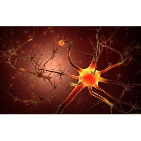 Conceptual Image Of Neuron Poster Print
