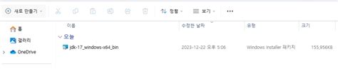 Java 17 다운로드 설치