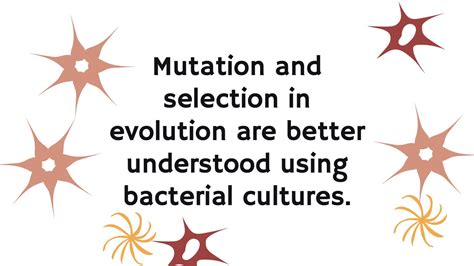 Moon Phases Powerpoint Morph Animation Template