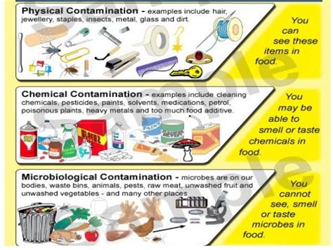 Phy And Chemical Food Contaminants